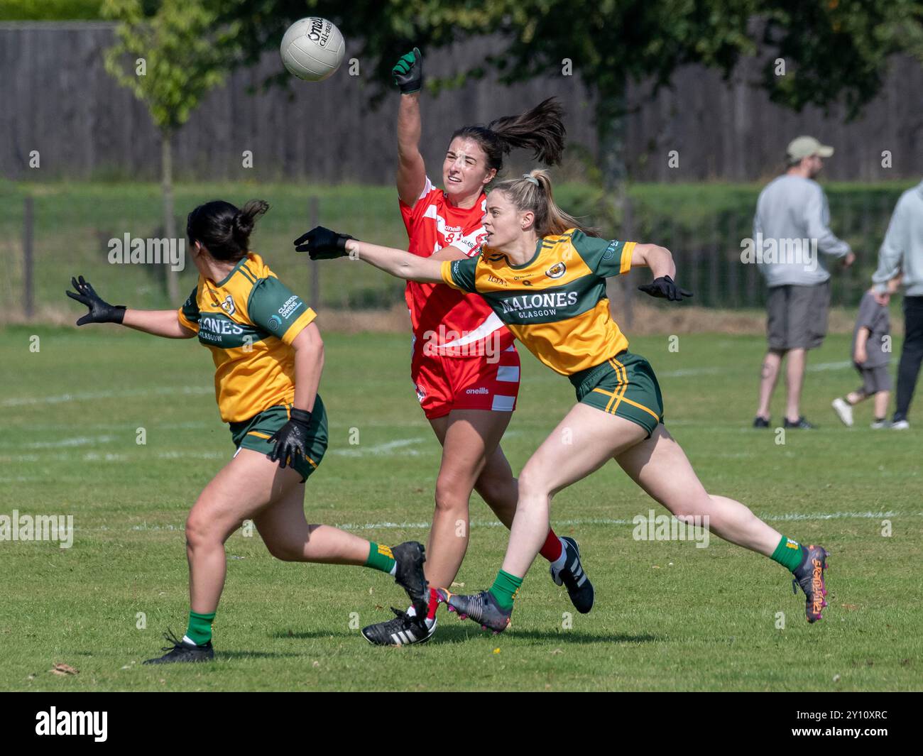 Lgfa junior shield hi-res stock photography and images - Alamy