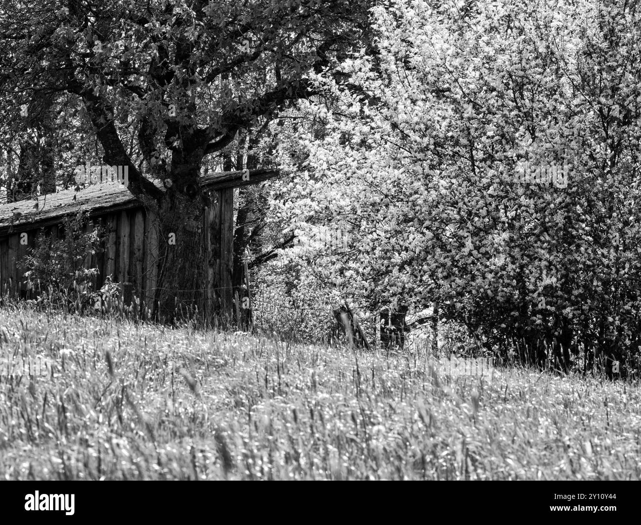 Spring day in the Augsburg Nature Park - Western Forests near Siebnach ...