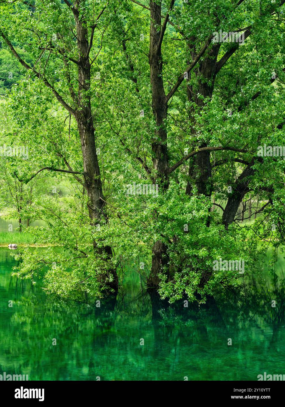 Lago mori hi-res stock photography and images - Alamy