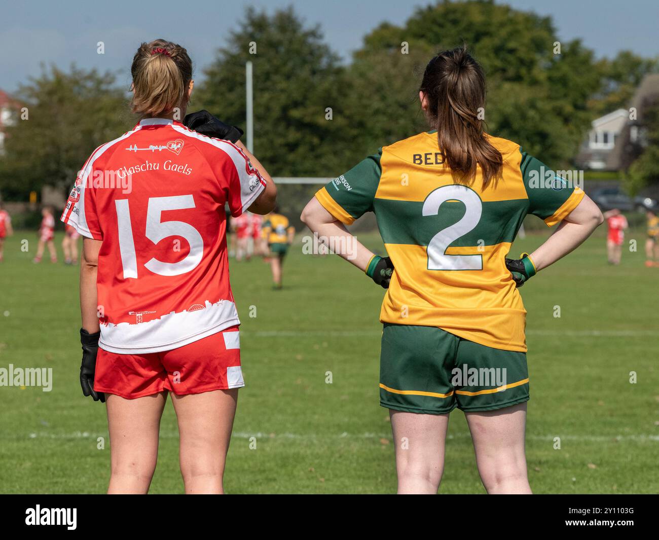 Lgfa junior shield hi-res stock photography and images - Alamy