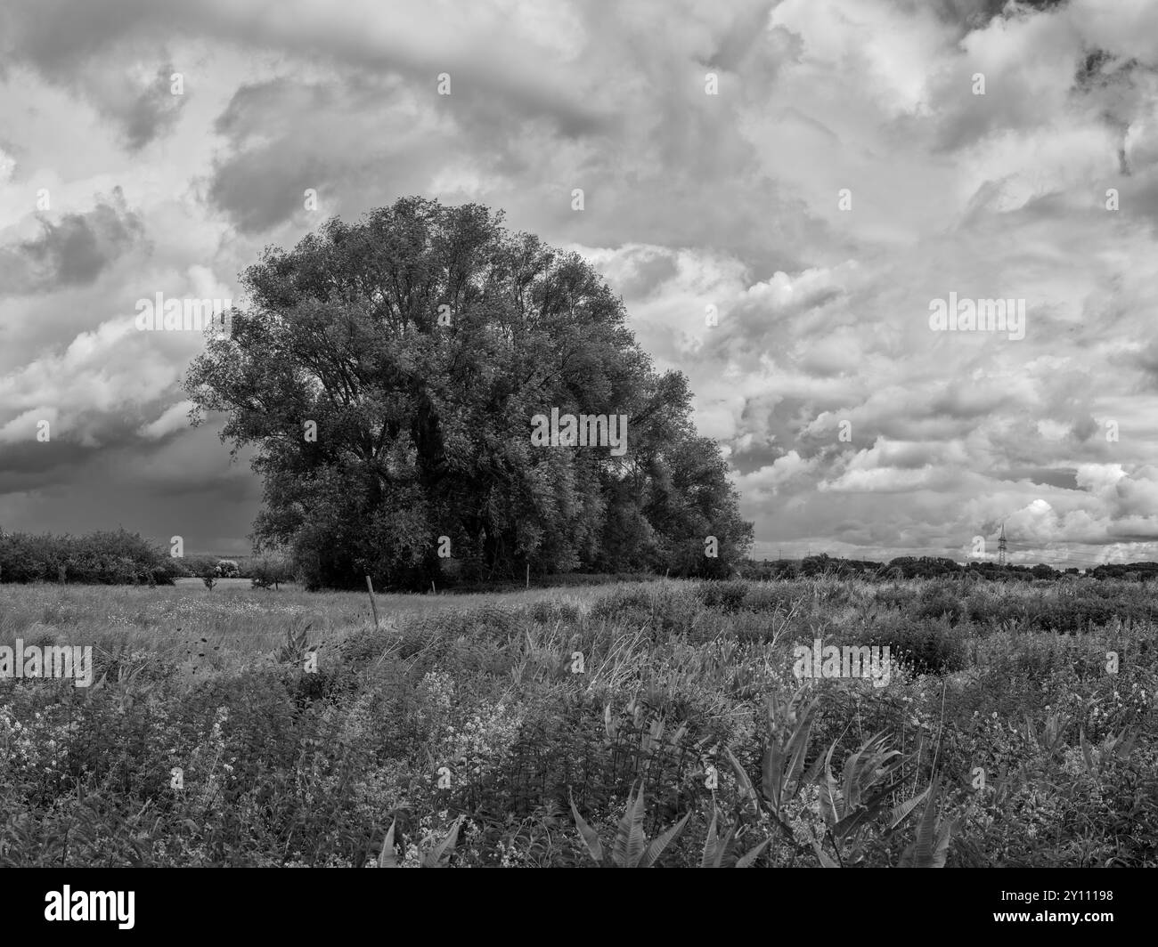 Culture and fallow land Black and White Stock Photos & Images - Alamy