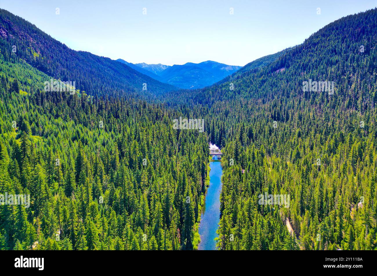 Landscape of mountain and forest of Cooper lake. Nature landscape ...