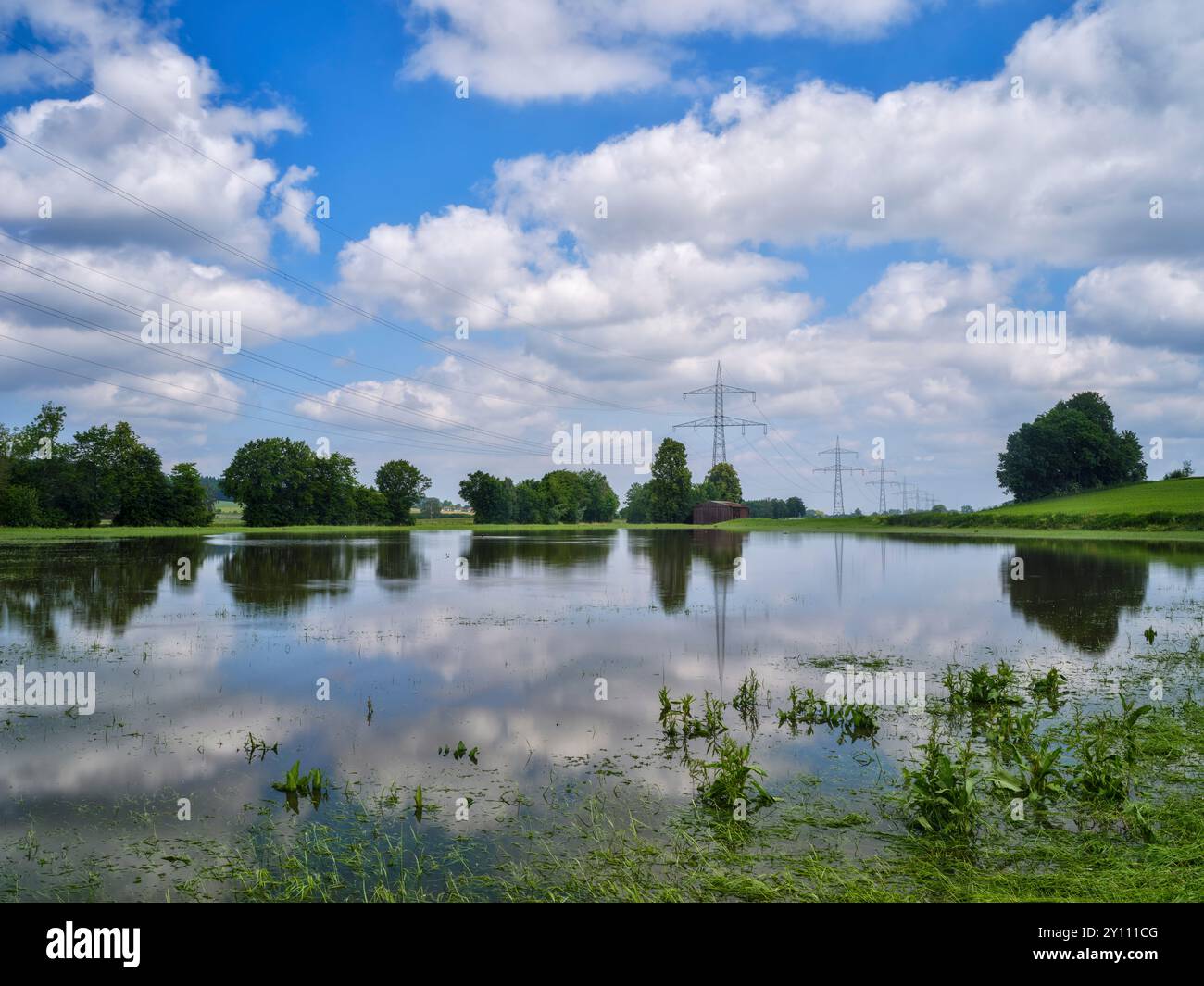 Flooded meadow after the summer flood of 2024 on the edge of the ...