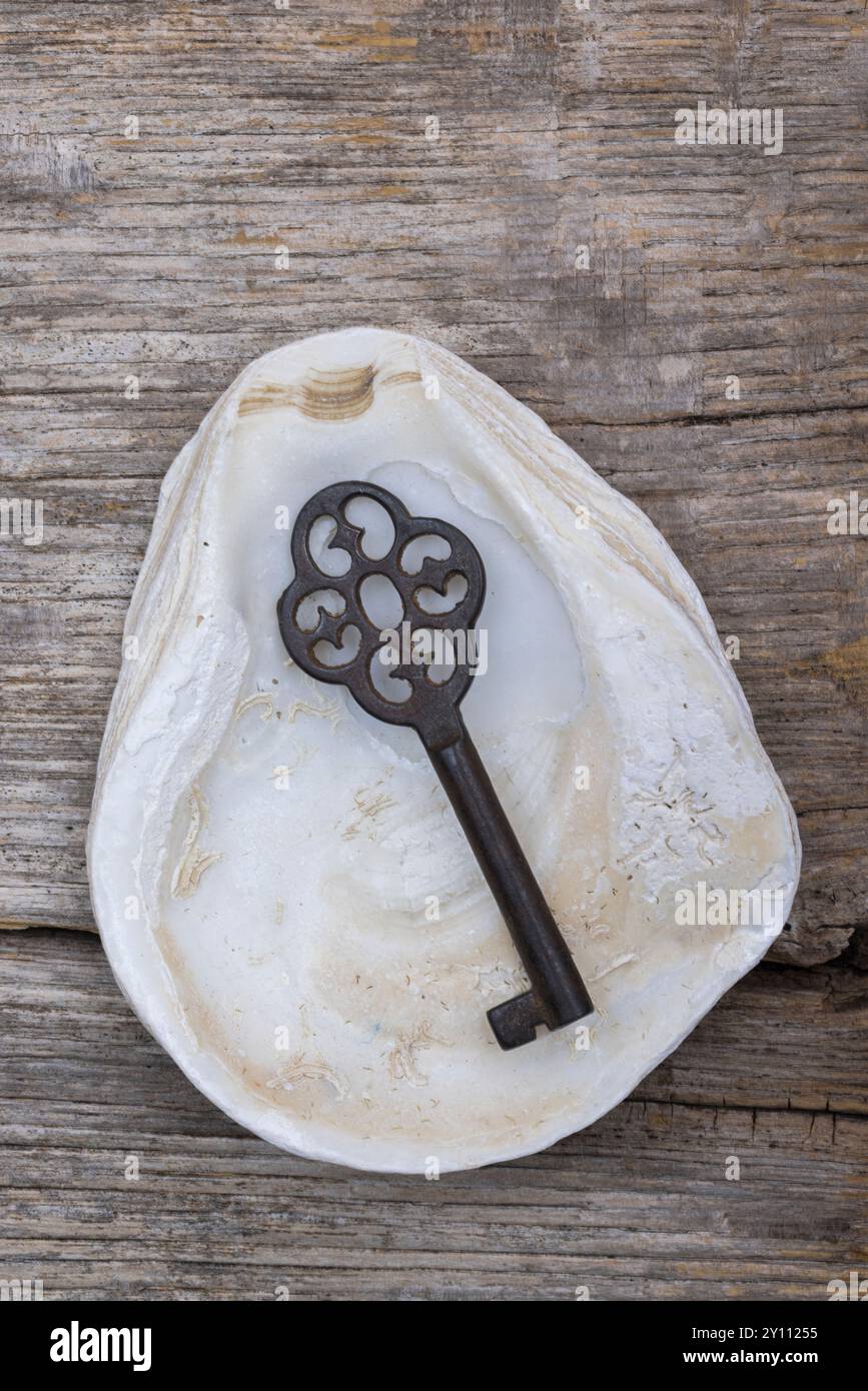 old keys in a shell Still life Stock Photo - Alamy