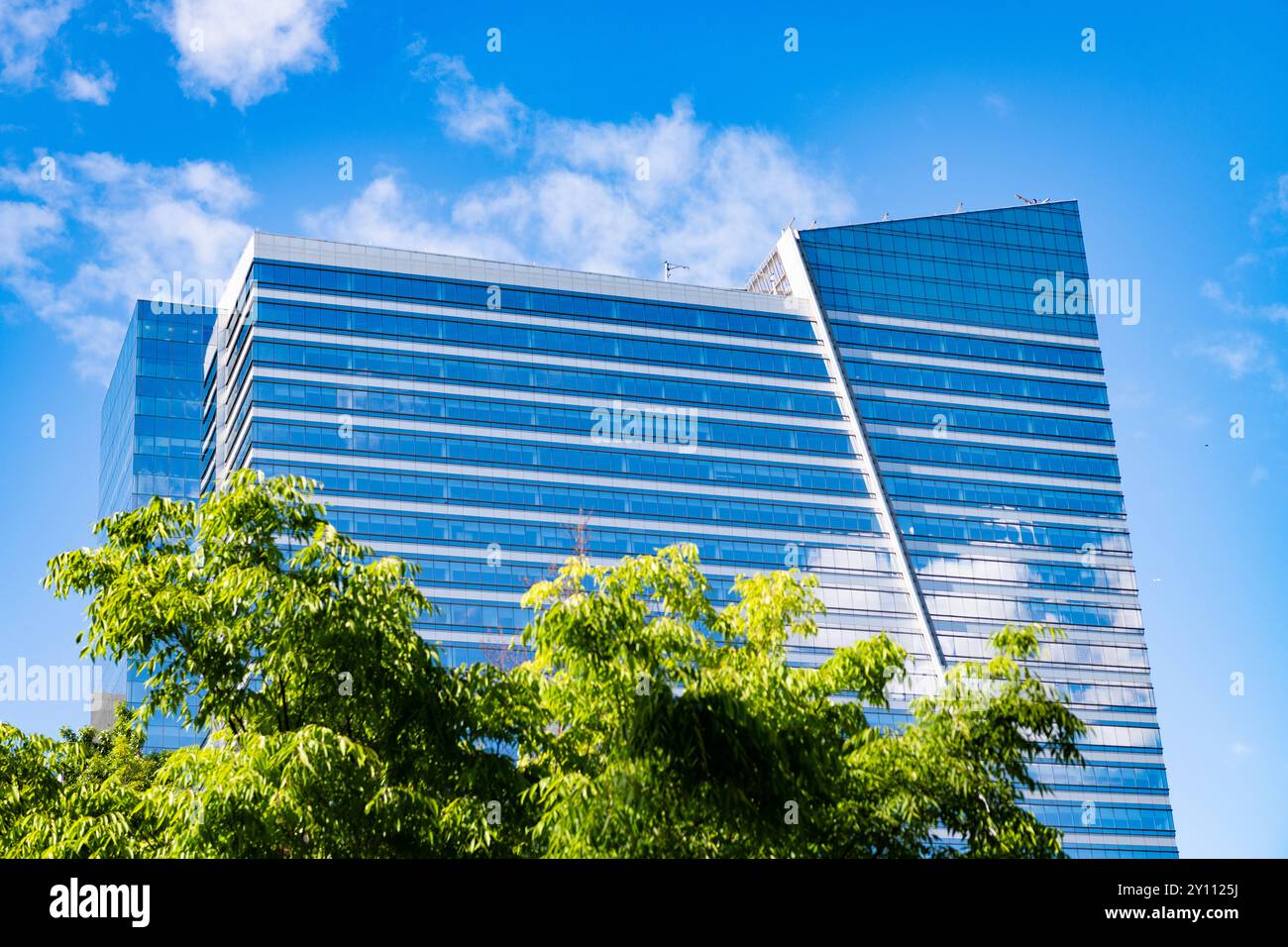 Skyscraper perspective view. City architecture. Architecture of modern ...