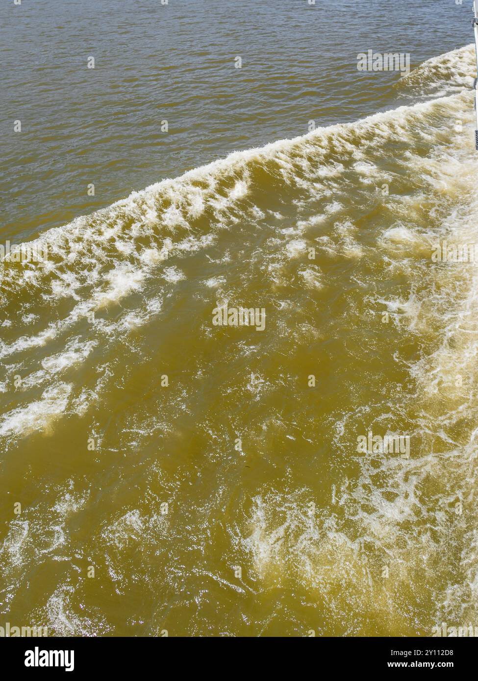 Aquatic flow dynamics in hi-res stock photography and images - Alamy