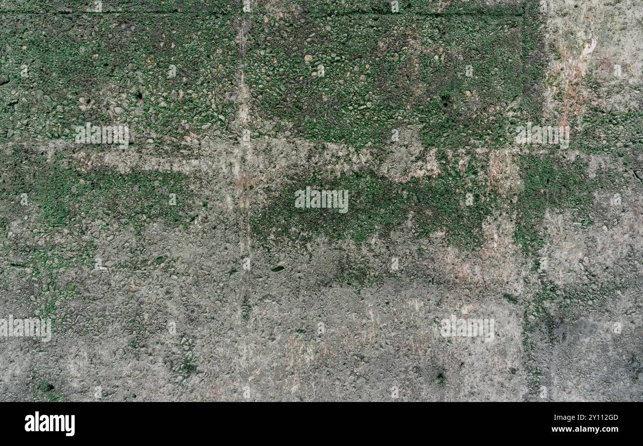 Algae-Covered Concrete Wall with Moss and Lichen Growth Stock Photo - Alamy