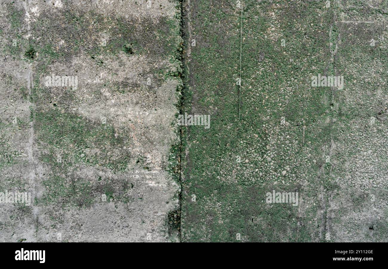 Algae-Covered Concrete Wall with big vertical crack with Moss and ...