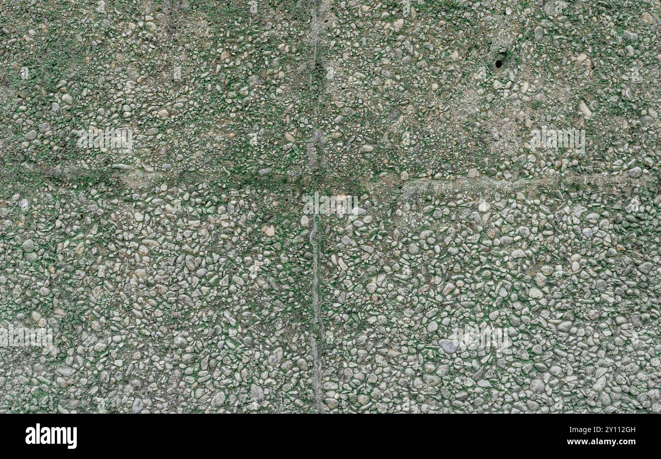 Algae-Covered Concrete Wall with Moss and Lichen Growthwith and coarse ...
