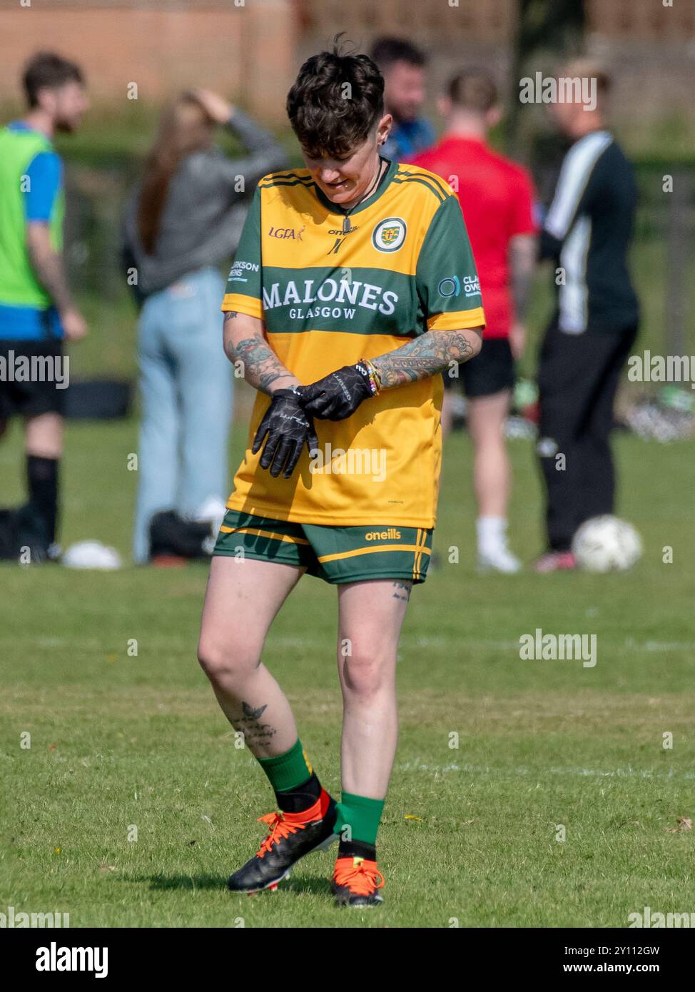 Lgfa junior shield hi-res stock photography and images - Alamy