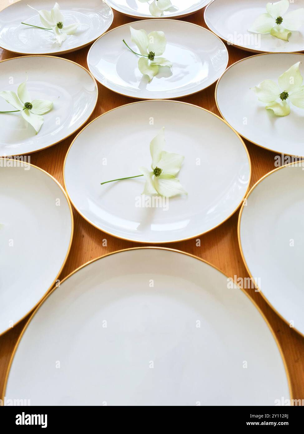 White dinner plates decorated with dogwood blossom arranged next to ...