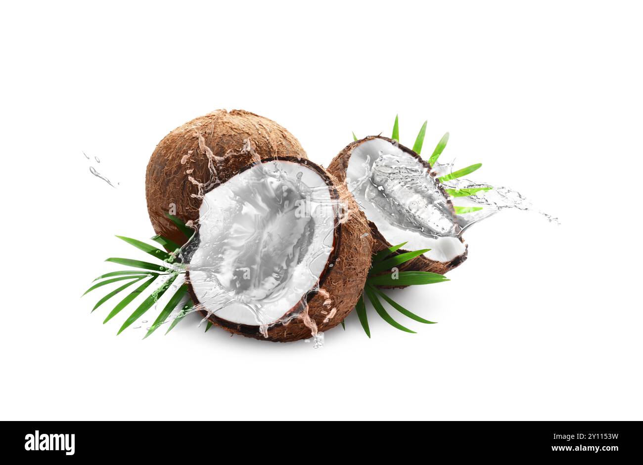 Fresh coconut water splashing in nuts on white background Stock Photo ...