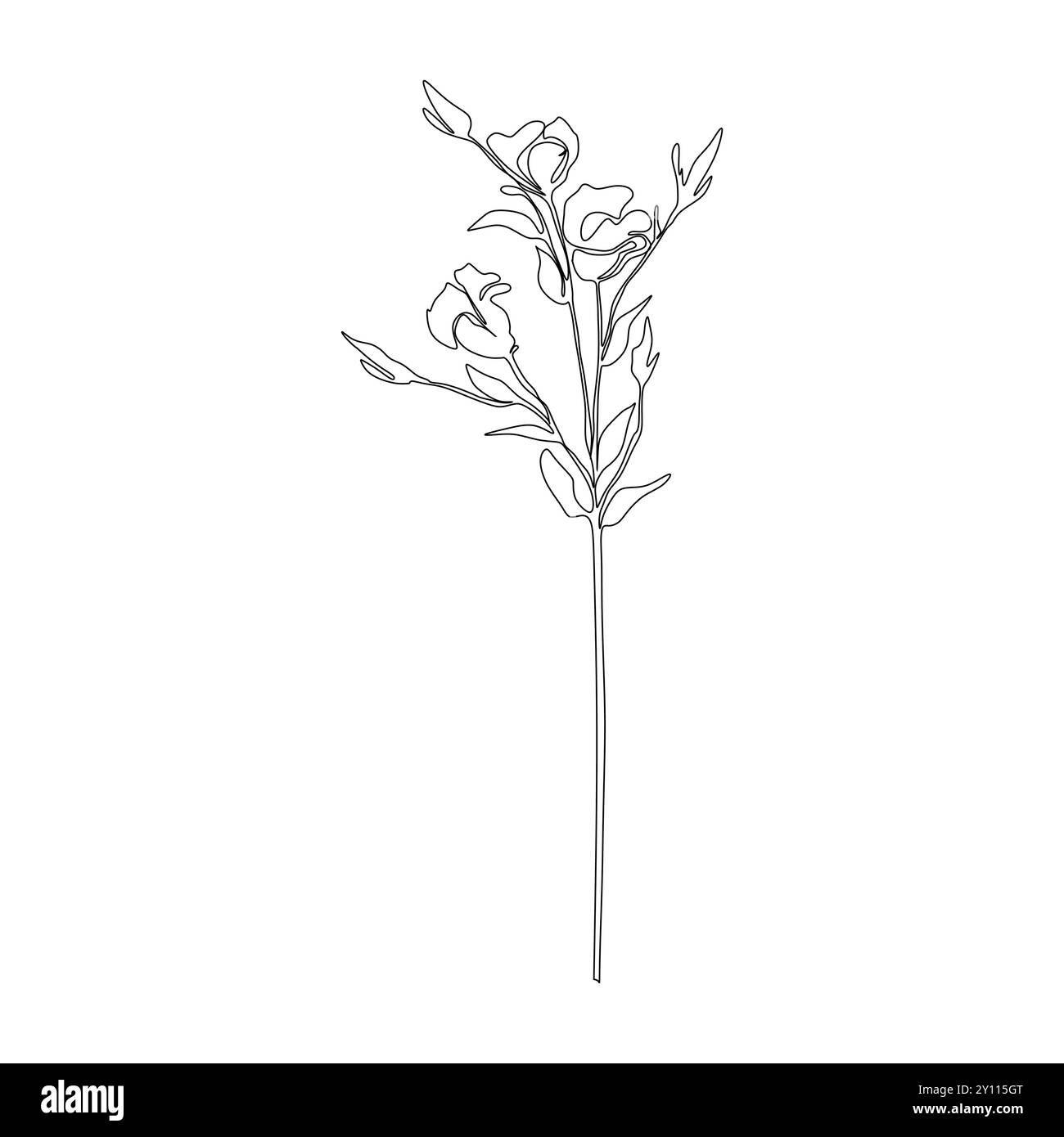 Lisianthus continuous line drawing. Black and white Floral Bouquets ...