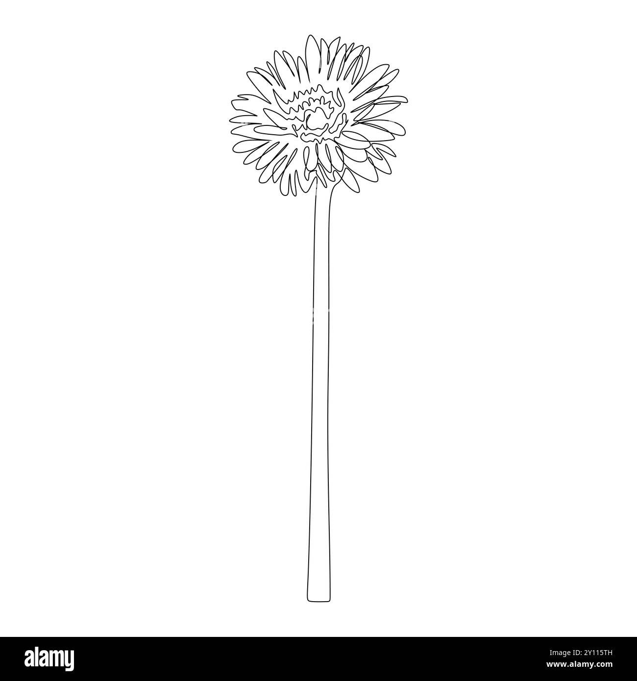 Gerbera continuous line drawing. Black and white Floral Bouquets ...