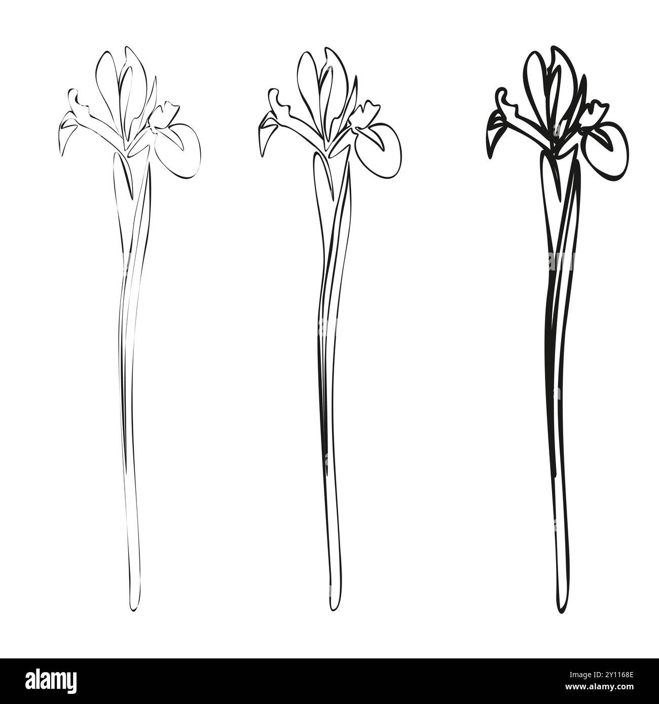 Set of Iris continuous line drawing. Black and white Floral Bouquets ...