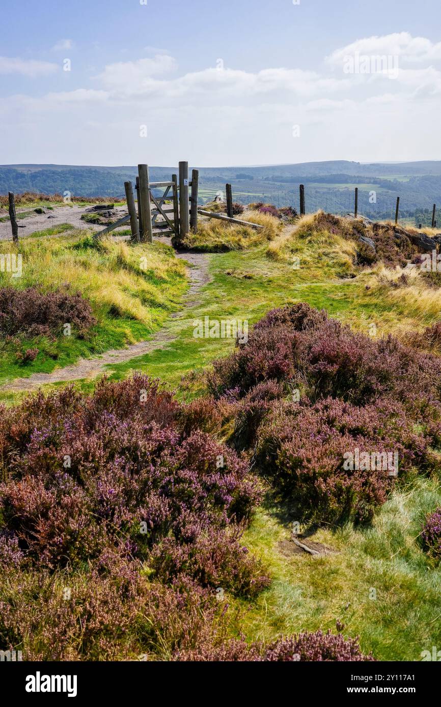 View rolling hills meandering hi-res stock photography and images - Alamy