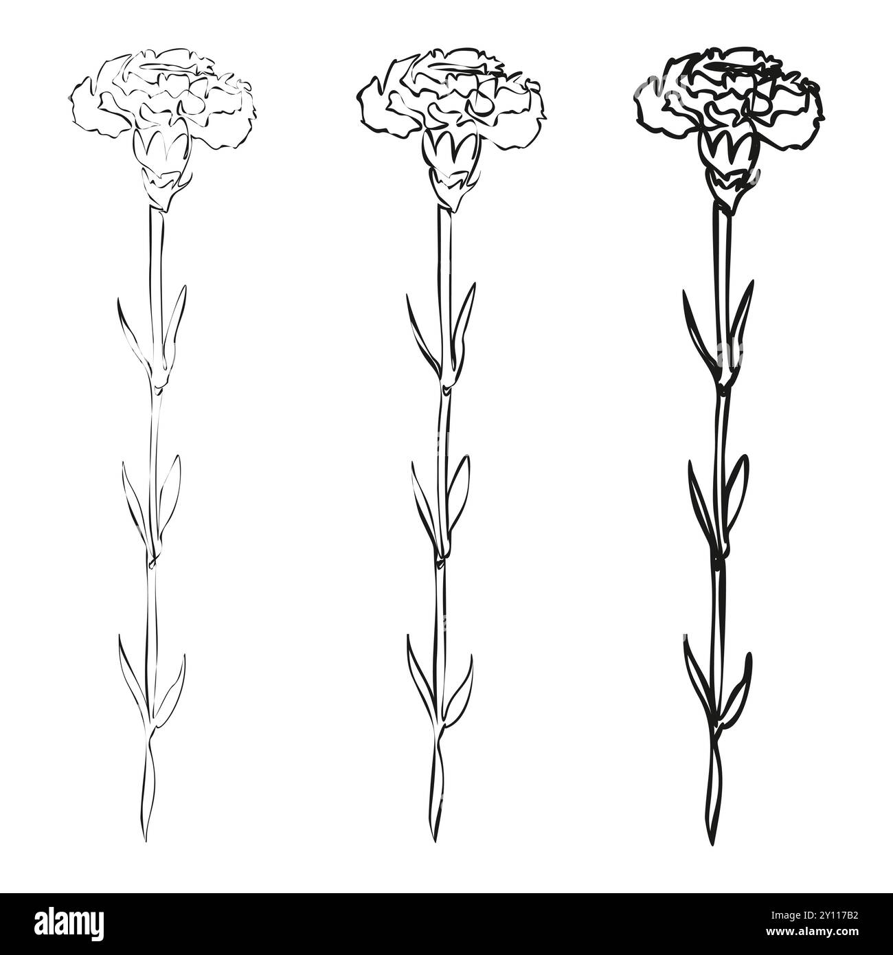 Set of Dianthus continuous line drawing. Black and white Floral ...