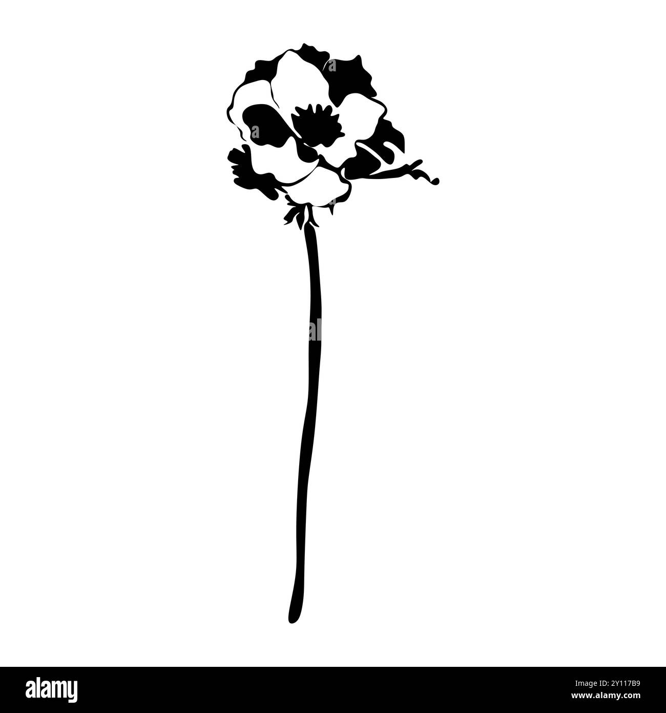 Anemone Black and white silhouette. Floral silhouette. Hand Drawn ...