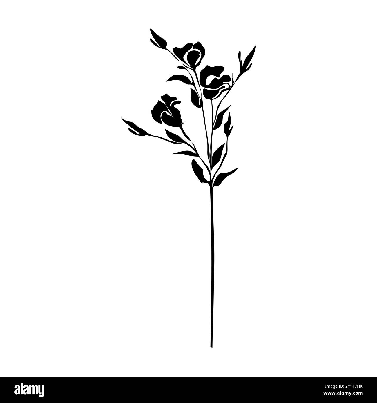 White lisianthus flowers Stock Vector Images - Alamy