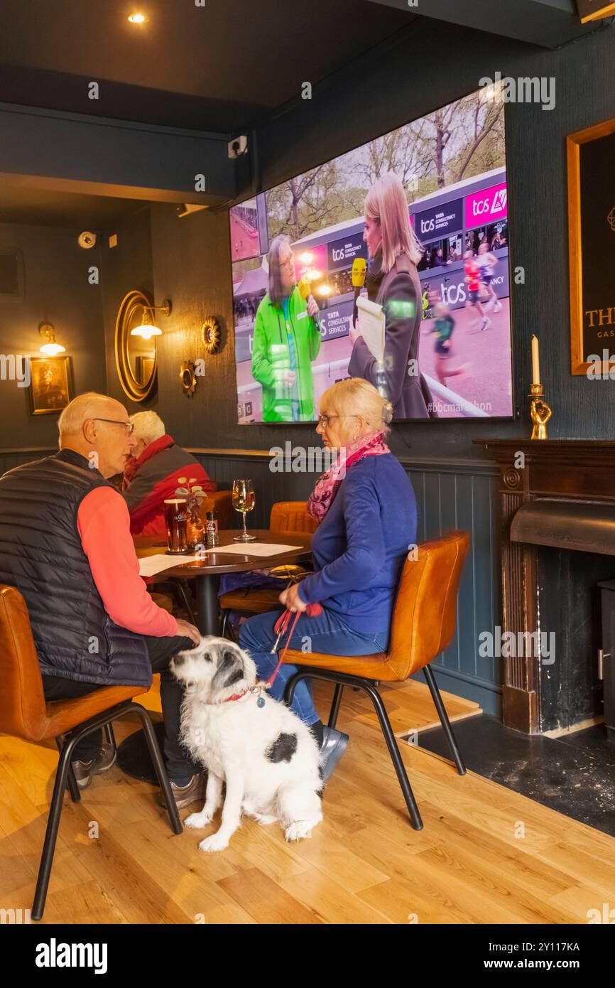 Interior of customers with dog hi-res stock photography and images - Alamy