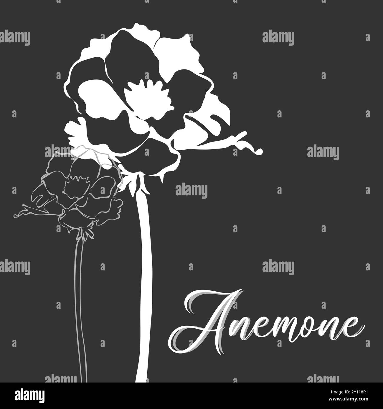 Anemone for logo, decorations, card. invitation. Hand drawn white line ...