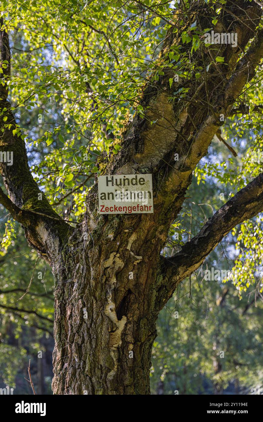 Forest, sign on a tree, keep dogs on a lead, tick danger Stock Photo ...