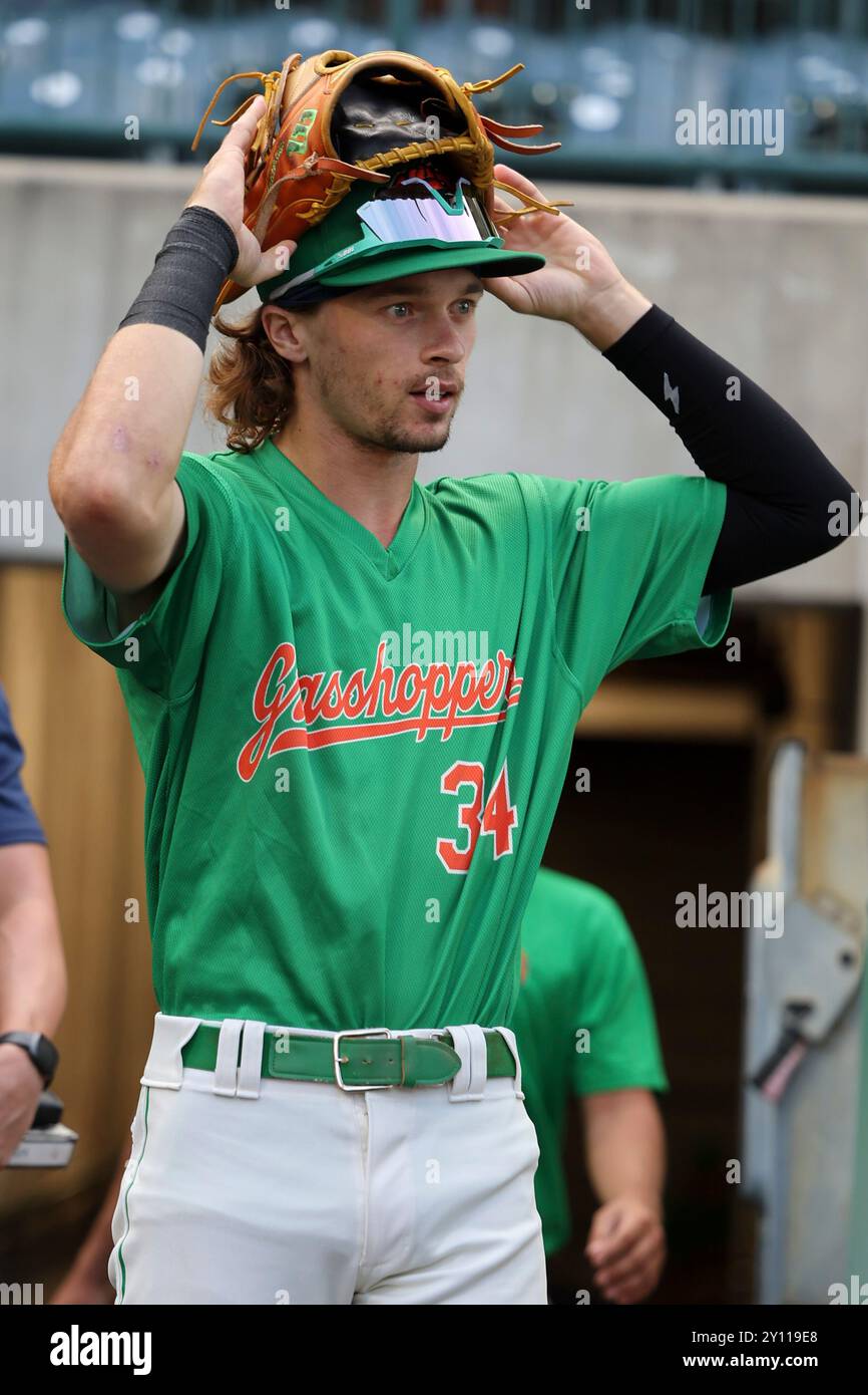 Grasshoppers fans hi-res stock photography and images - Alamy