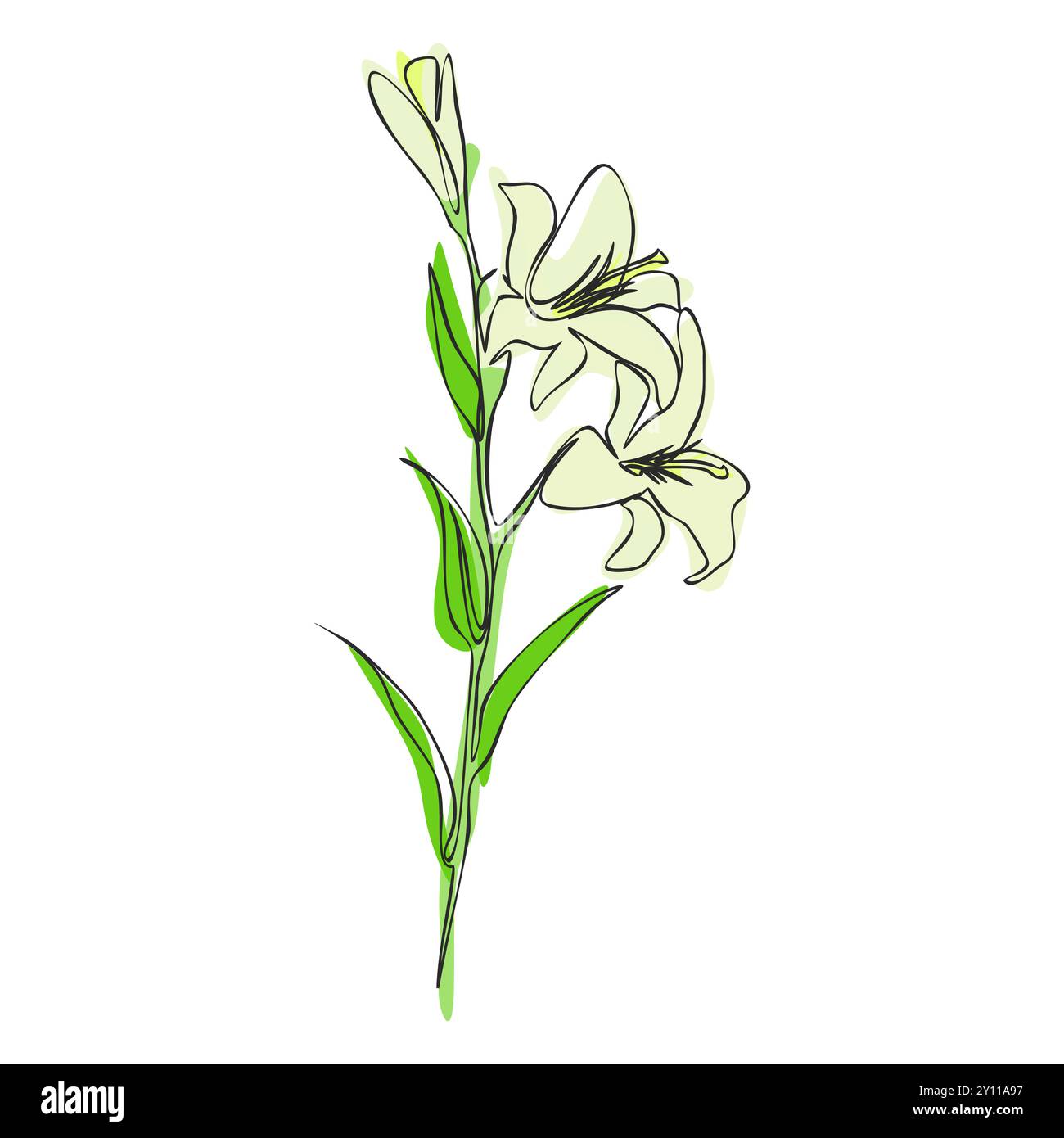 Bouquet of lilies coloring page hi-res stock photography and images - Alamy
