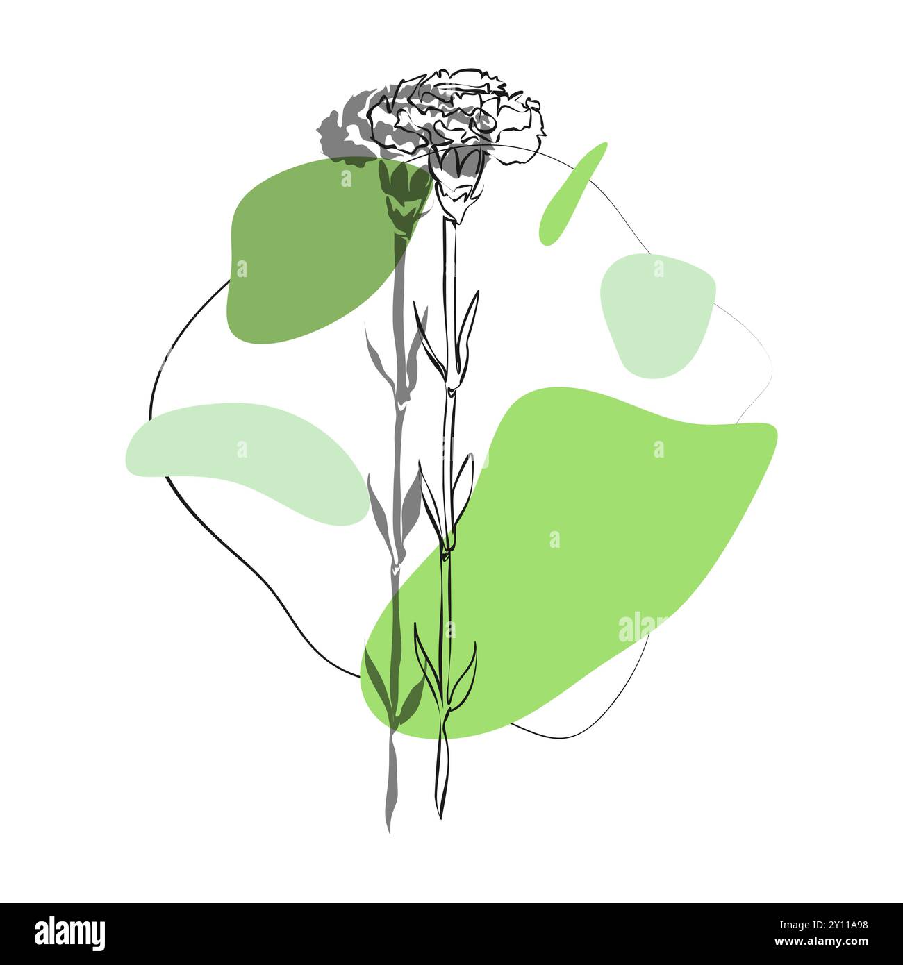 Dianthus for logo, decorations, card. invitation. Hand drawn ...