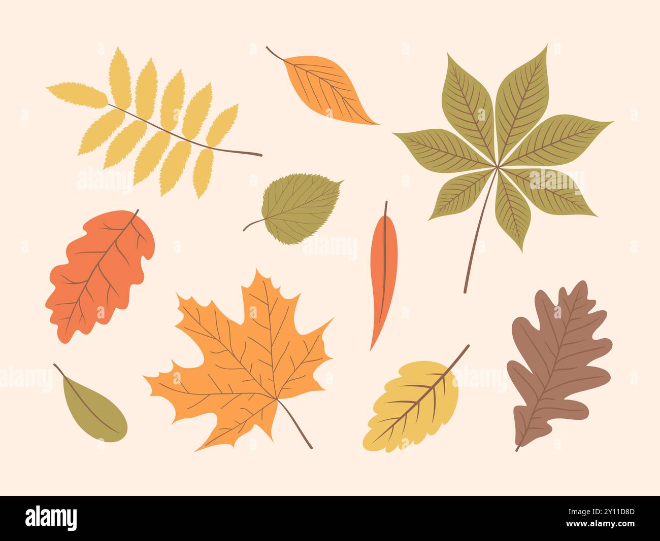 Set vector fall rowan Stock Vector Images - Alamy
