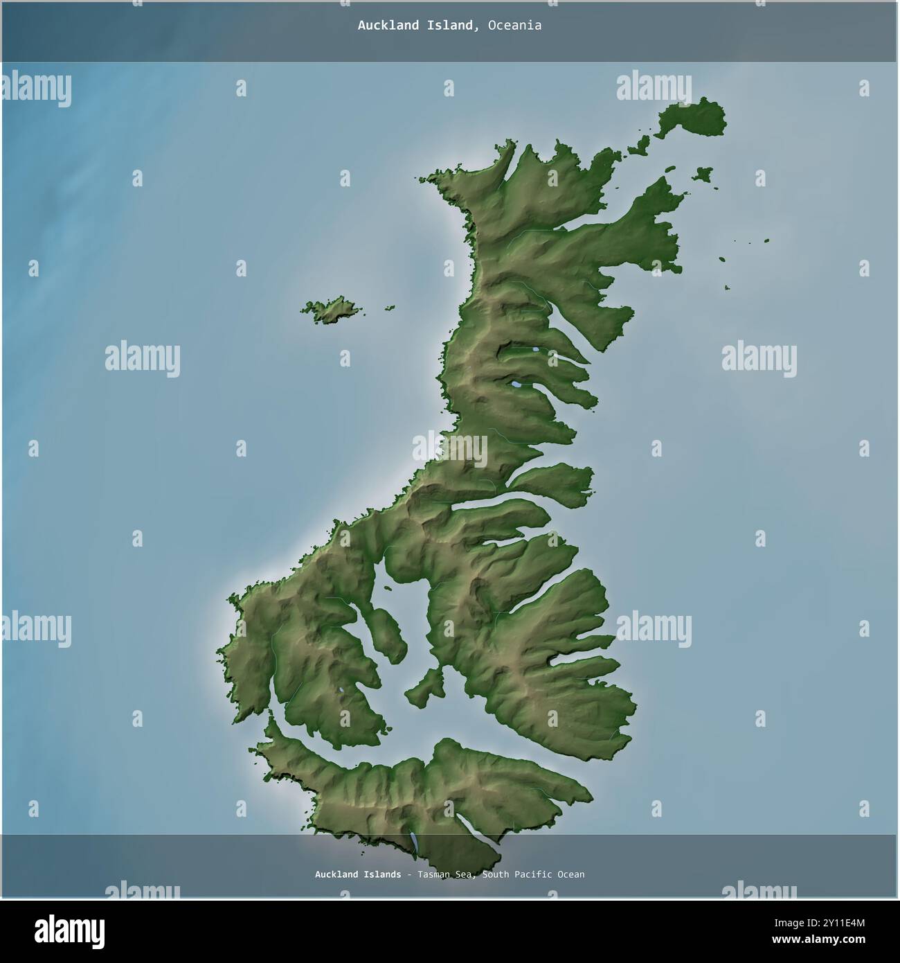 Auckland Island in the Tasman Sea, belonging to New Zealand, cropped to ...
