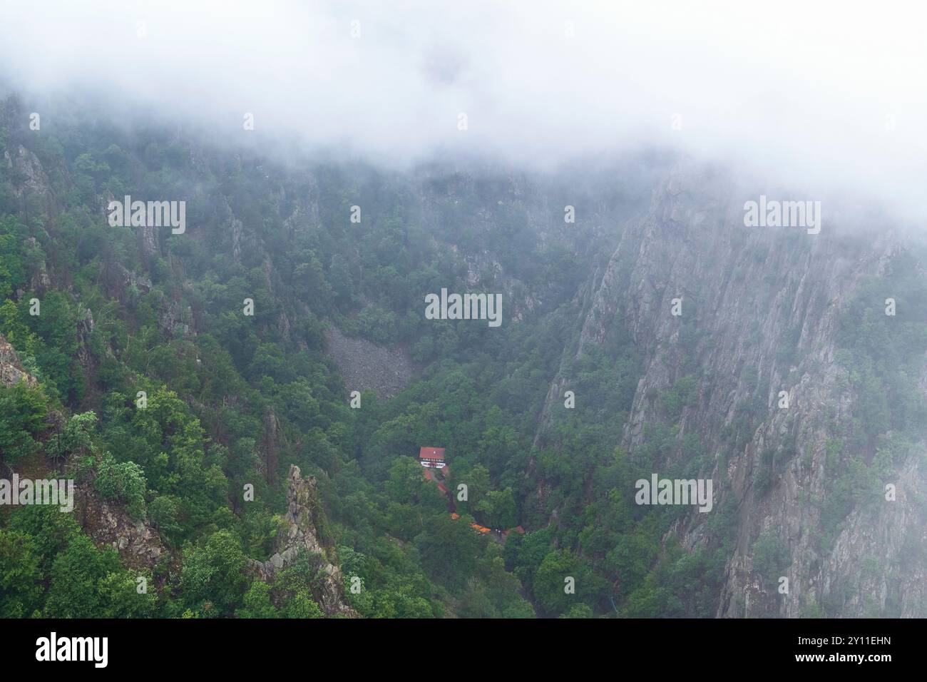Forest, valley, gorge, Bodetal, mountains, Thale, Harz, Saxony-Anhalt ...