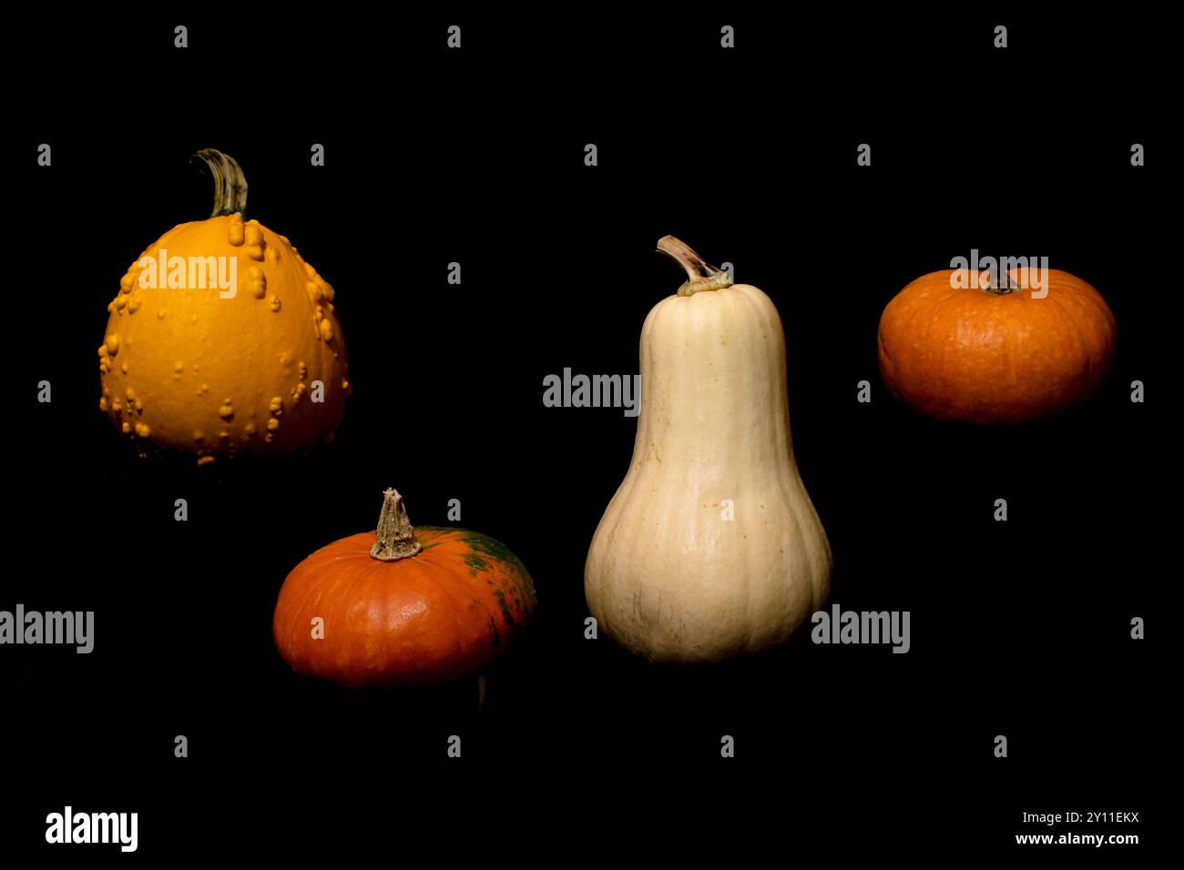 Four different types of pumpkins are shown on a black background. The ...