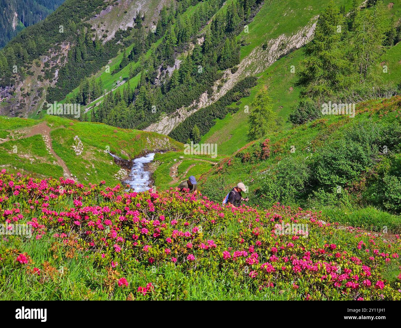 Madau hi-res stock photography and images - Alamy