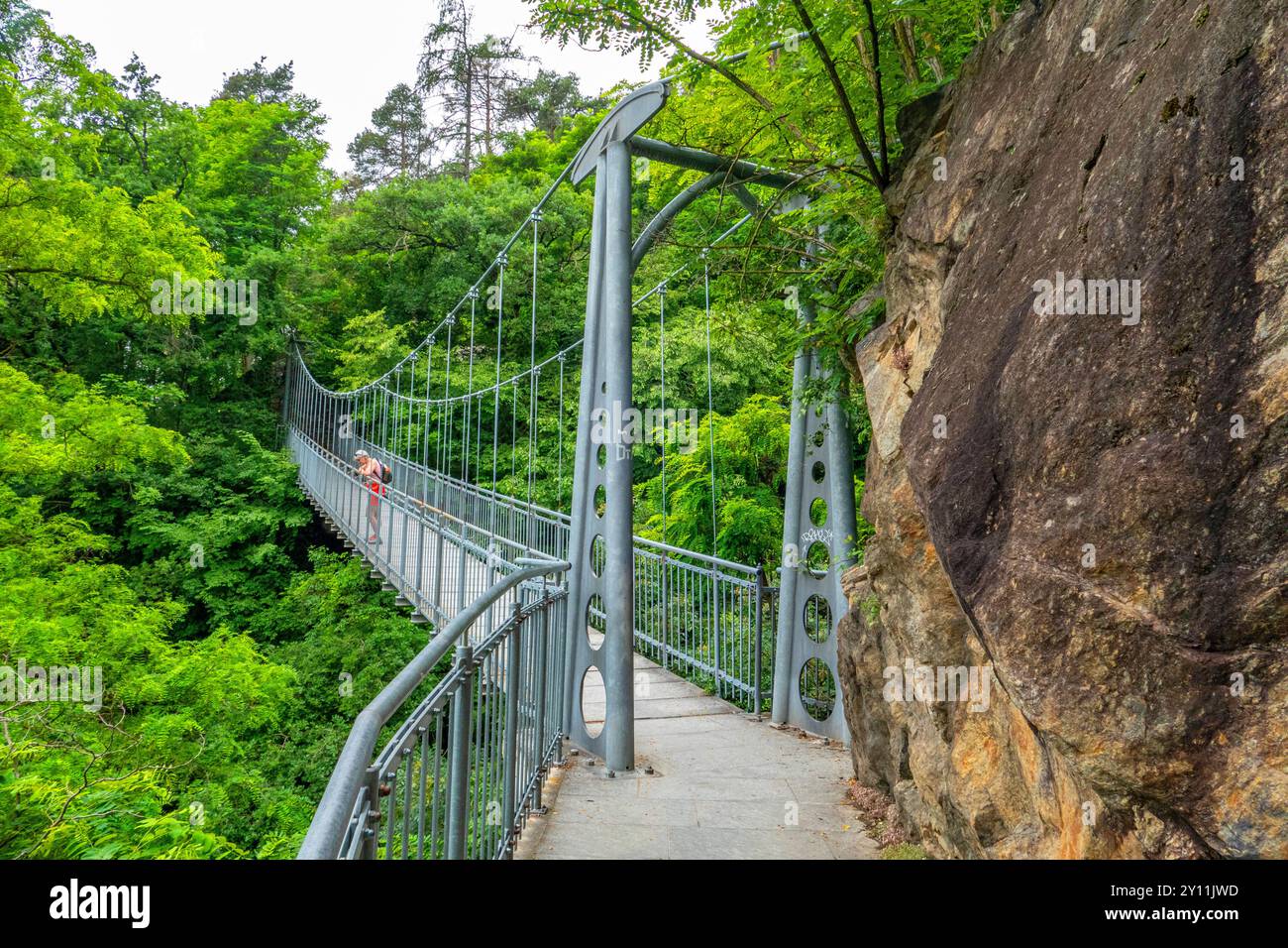 Suspension bridge on the Algunder Waalweg, Algund, Meran, Province of ...