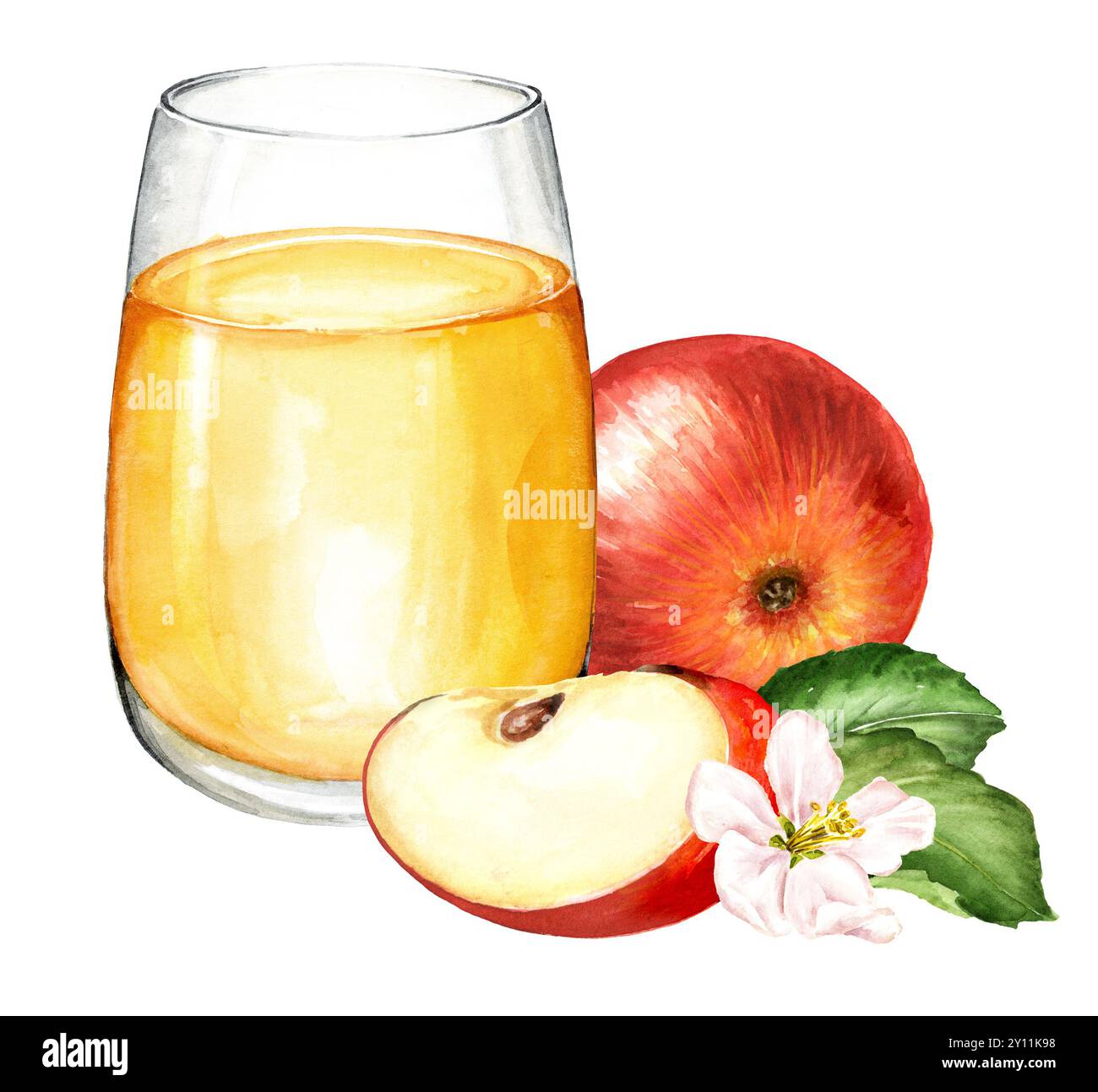 Glass of apple juice and slice of ripe red apple. Hand drawn watercolor ...