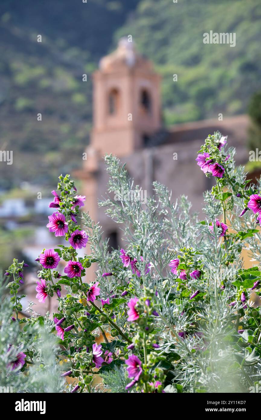 Italy, Tyrrhenian Sea, Lipari Islands / Aeolian Islands, Salina, Malfa ...