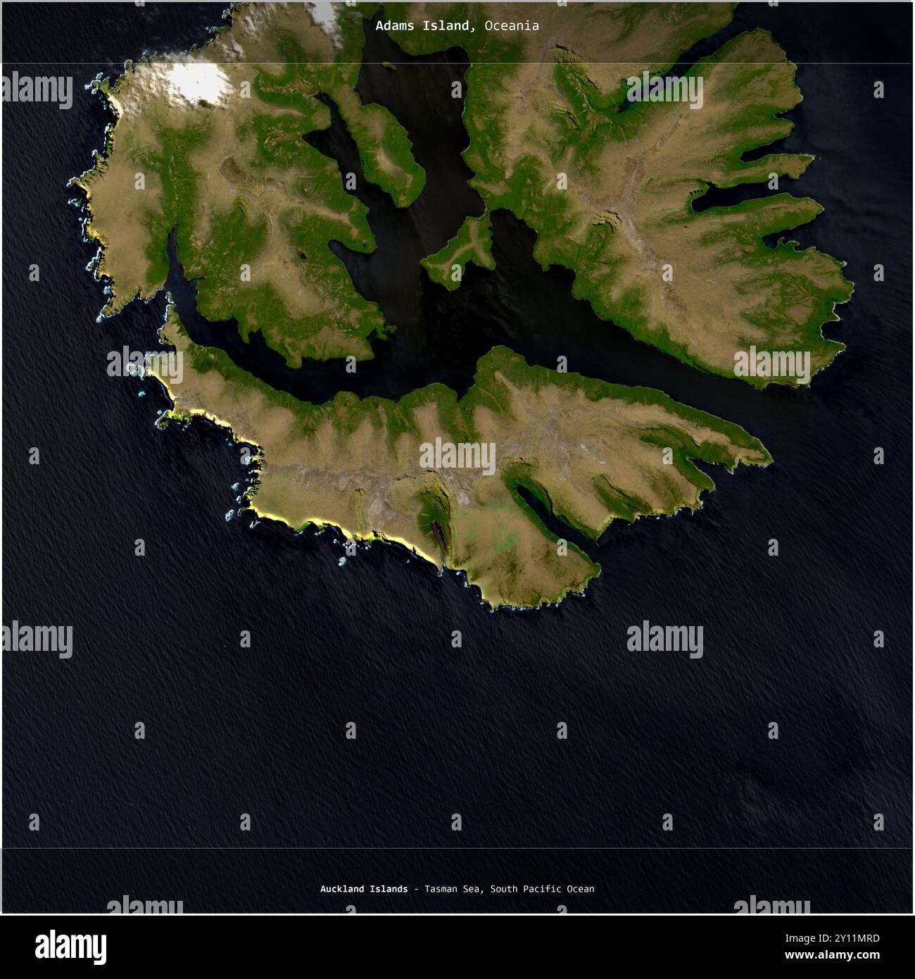 Adams Island in the Tasman Sea, belonging to New Zealand, cropped to ...