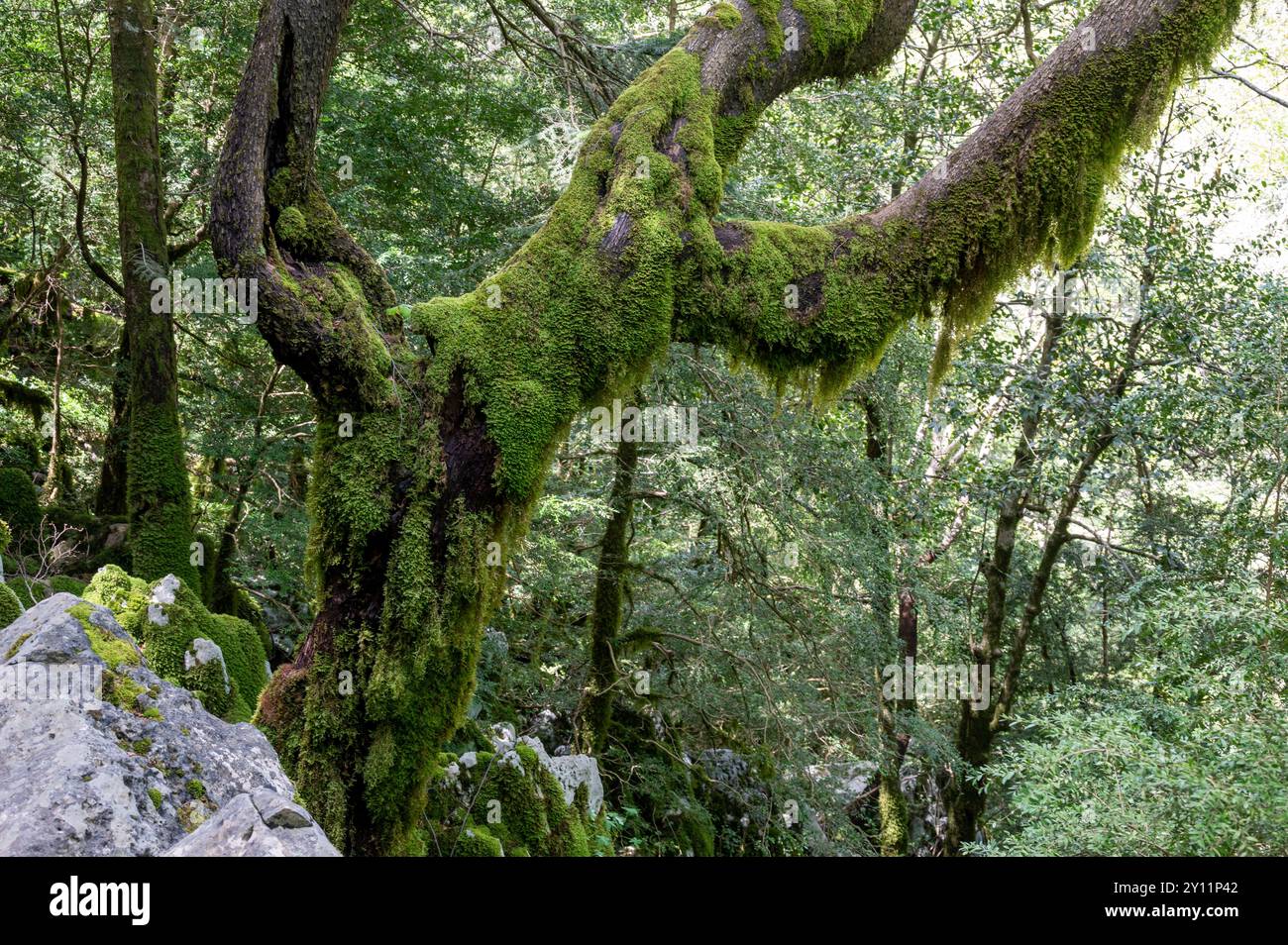 Albania, Balkan Peninsula, Southeast Europe, Republic of Albania ...