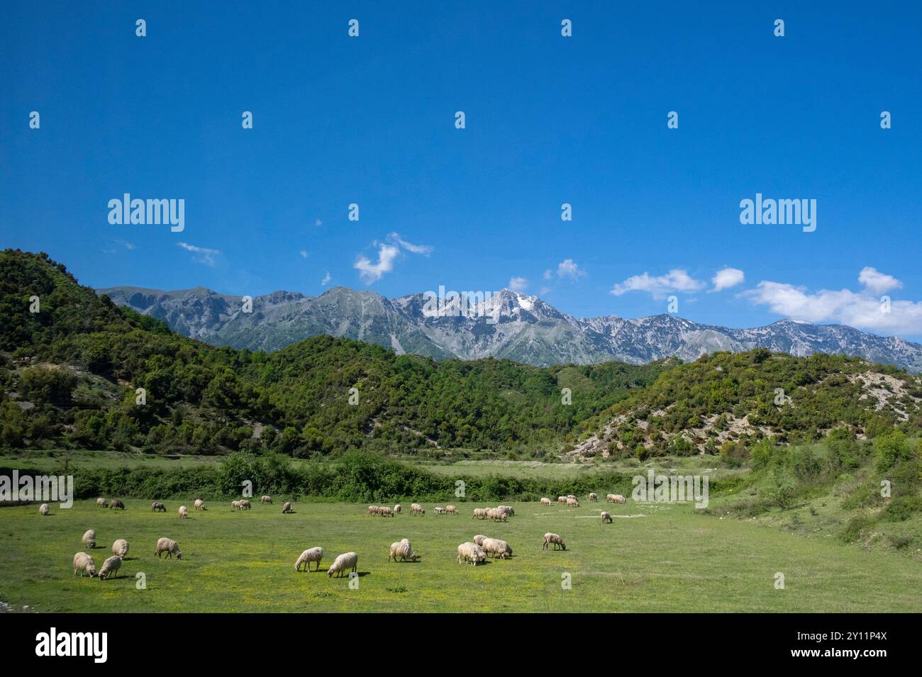 Albania, Balkan Peninsula, Southeast Europe, Republic of Albania ...