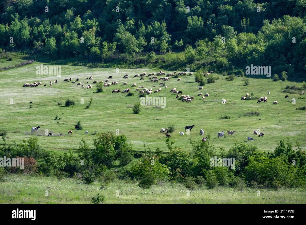 Albania, Balkan Peninsula, Southeastern Europe, Republic of Albania ...
