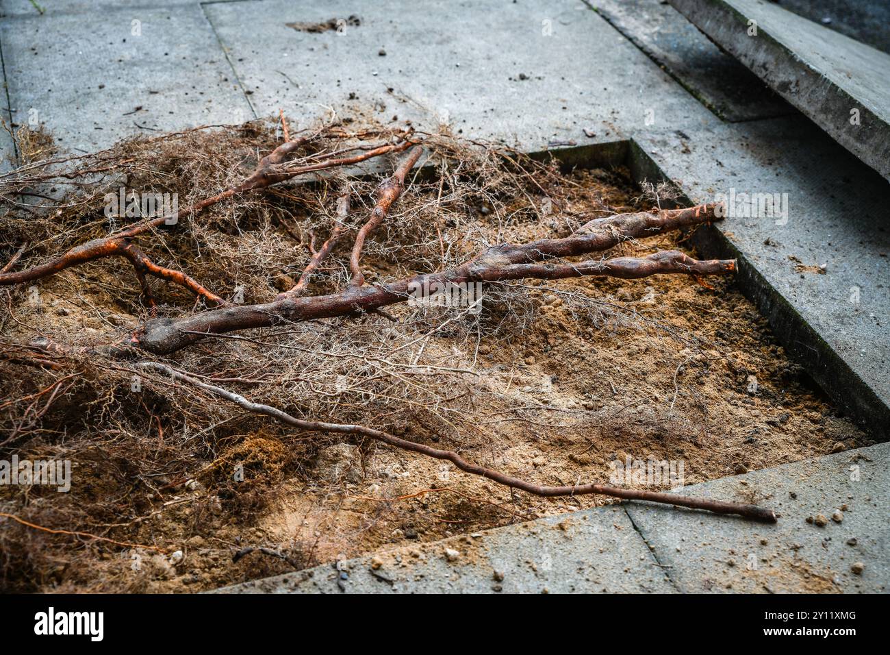 Destroying the pavement hi-res stock photography and images - Alamy