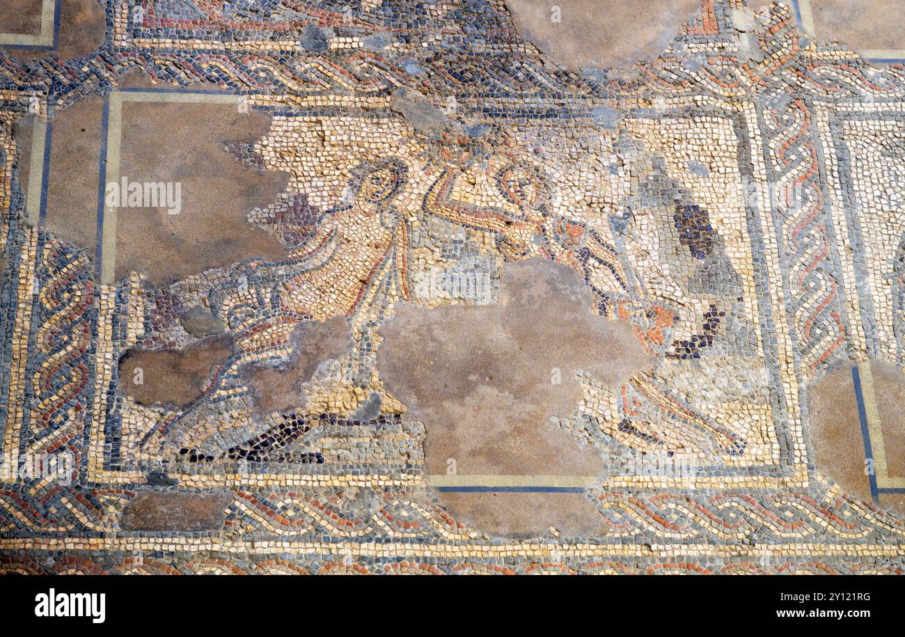 Roman mosaic medusa hi-res stock photography and images - Alamy