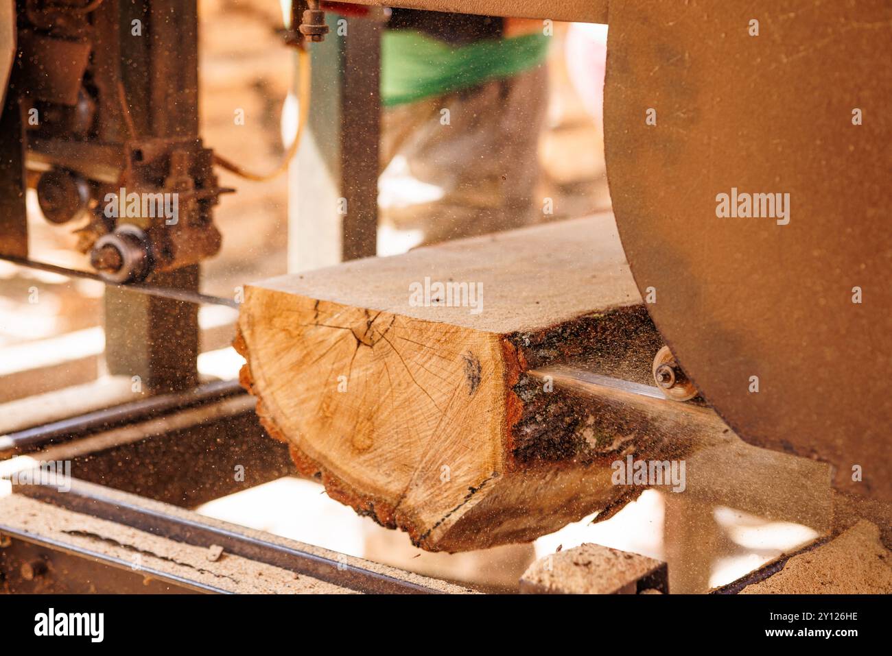 A close-up view of a log being cut on a sawmill. The saw blade is ...