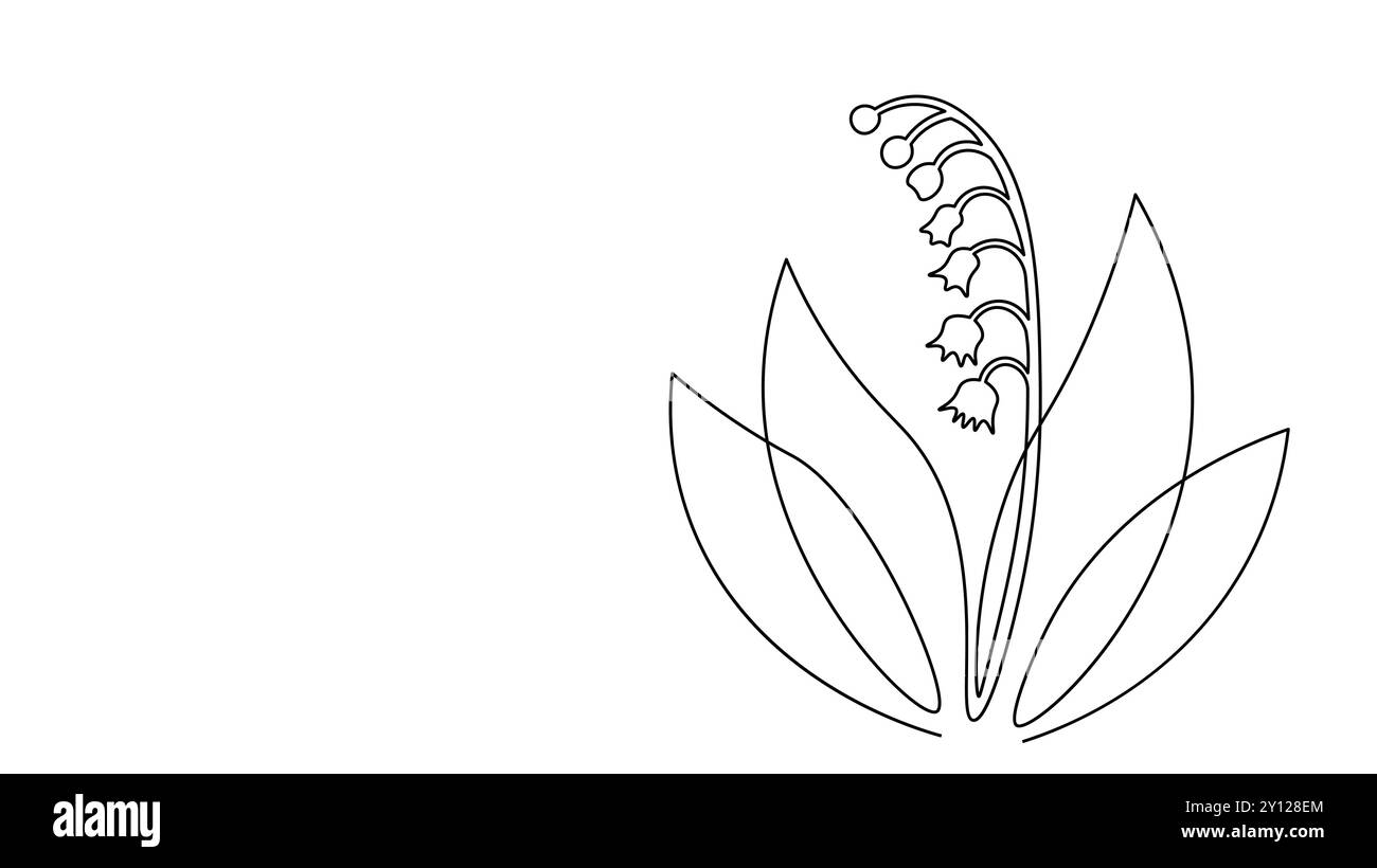 Single continuous line art lily of the valley flower. Plant leaves ...