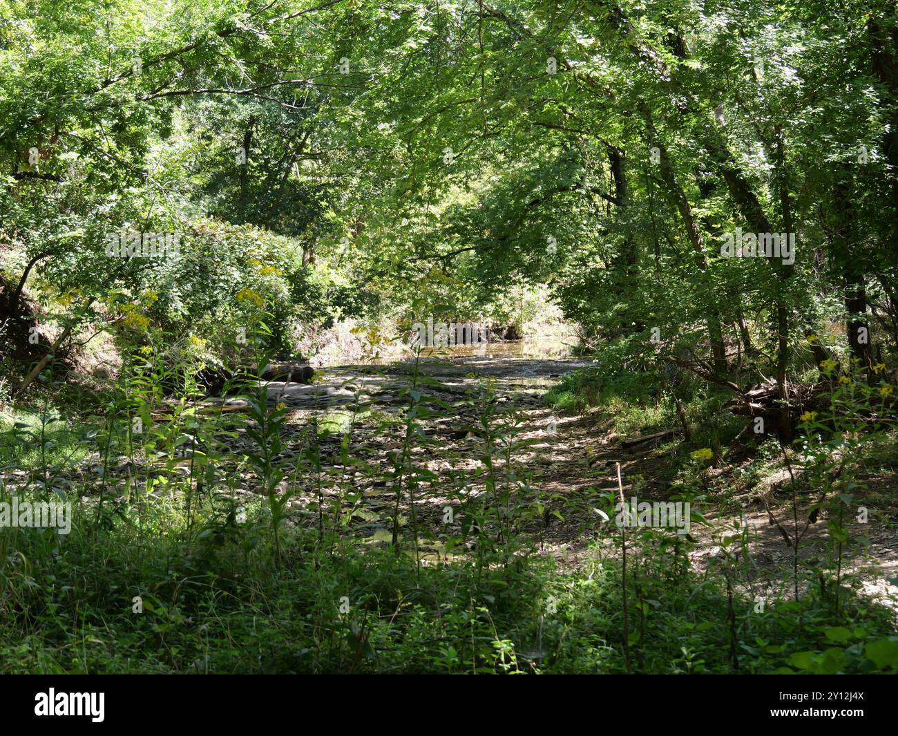 Olathe, Kansas - September 1, 2024: Sunny Day at Ernie Miller Nature ...
