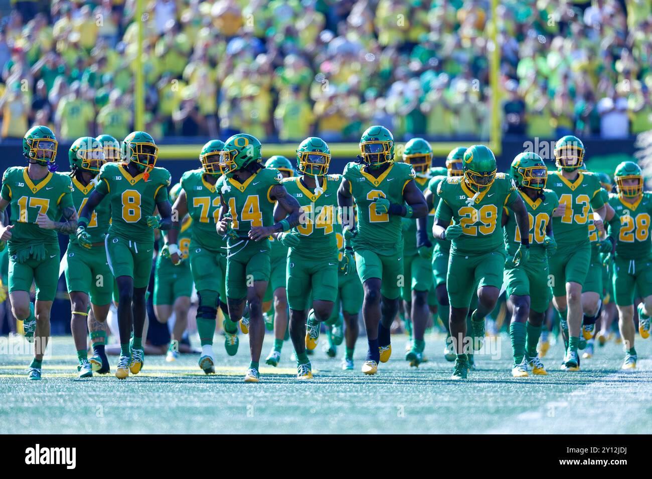 Members of the Oregon Ducks football team run on the field during team ...