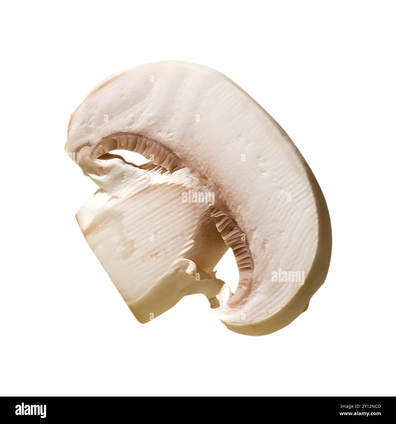 White champignon mushroom half slice tilted on a white background Stock ...