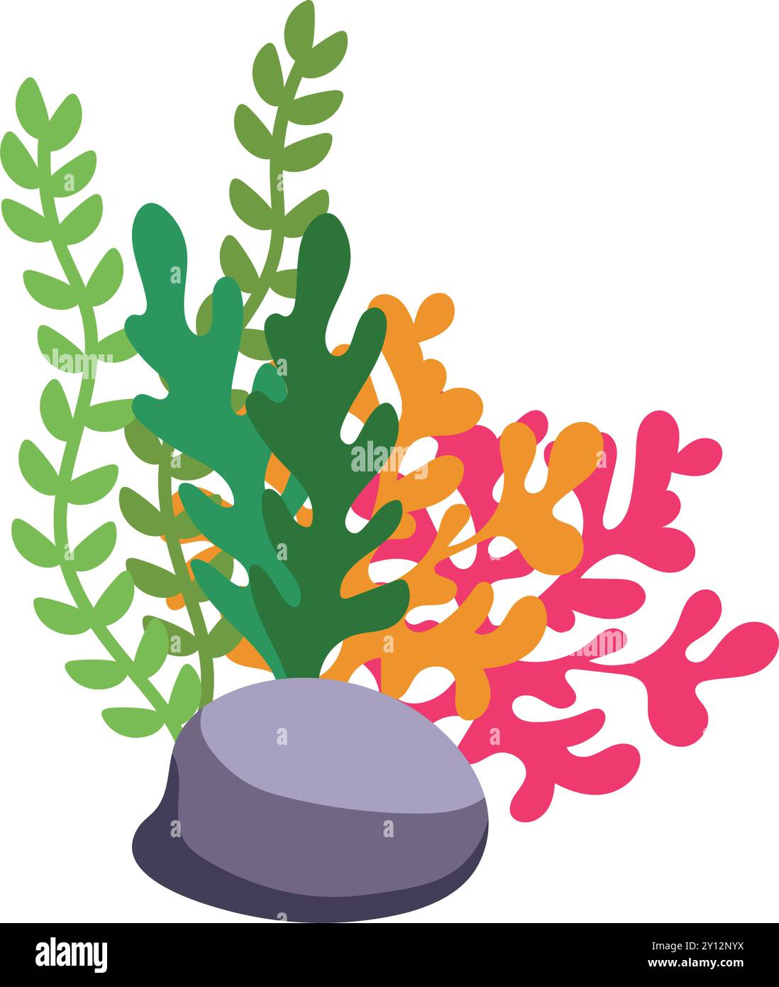 Colorful seaweed and coral with stone in cartoon style Vector Stock ...