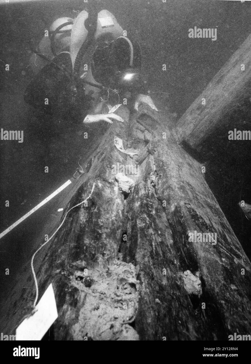 PRINCE CHARLES DIVING ON THE WRECK OF THE TUDOR WARSHIP MARY ROSE, 1981 ...